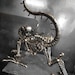Steampunk Recycle Metal Crouching Monster (medium Item) / Recycle Metal ...