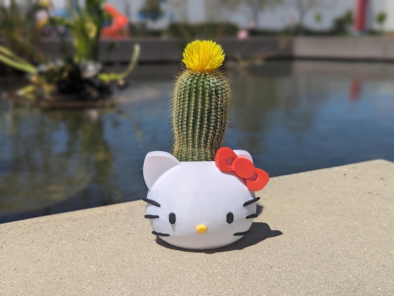 Hello Kitty Planter – Cute Succulent Pot for Desk or Gift | Kawaii ...