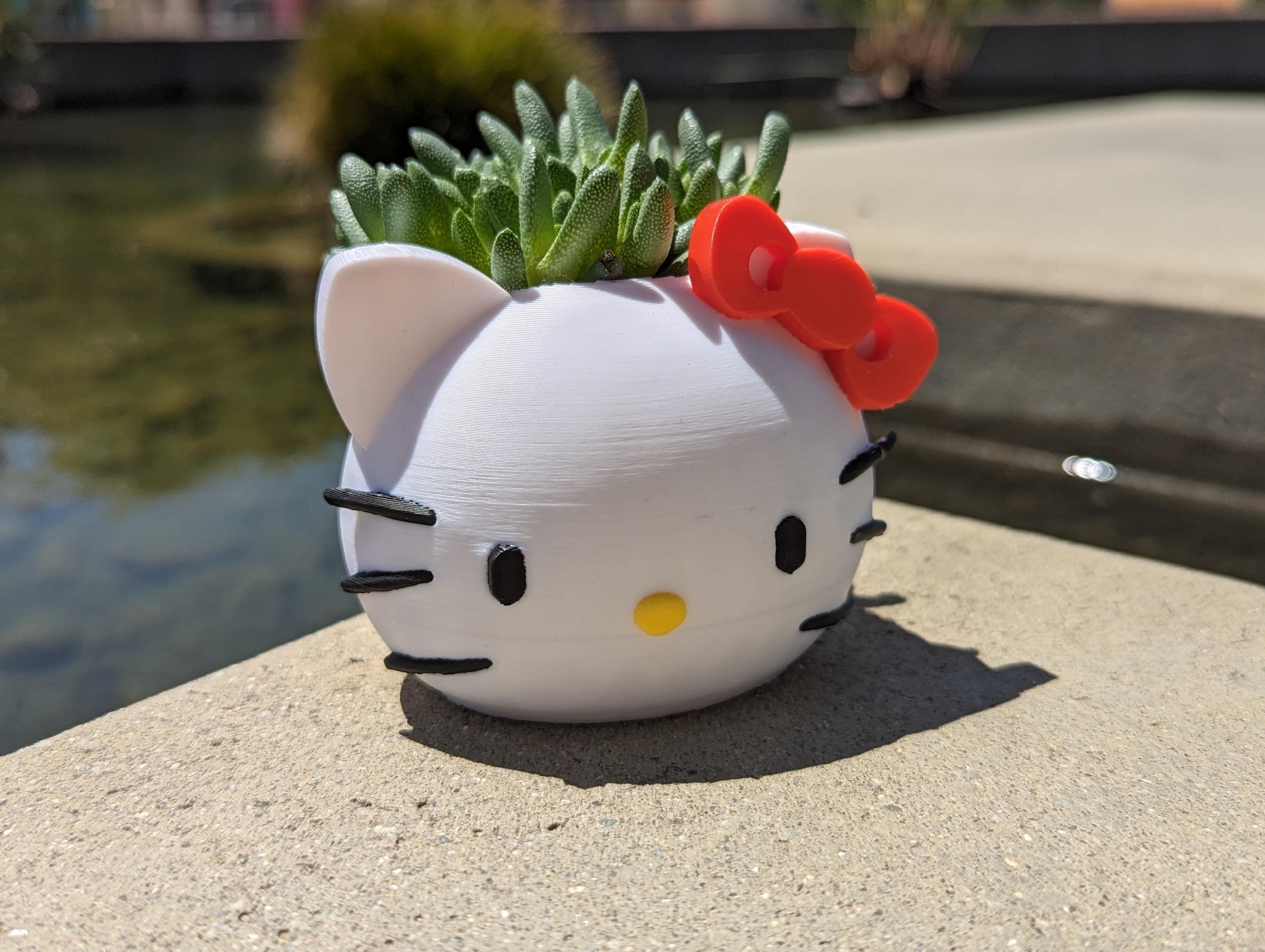 Hello Kitty Planter – Cute Succulent Pot for Desk or Gift | Kawaii ...