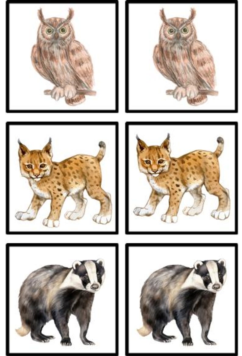 Forest Animal Memory Game: Printable Matching Game (PDF) - Etsy Canada