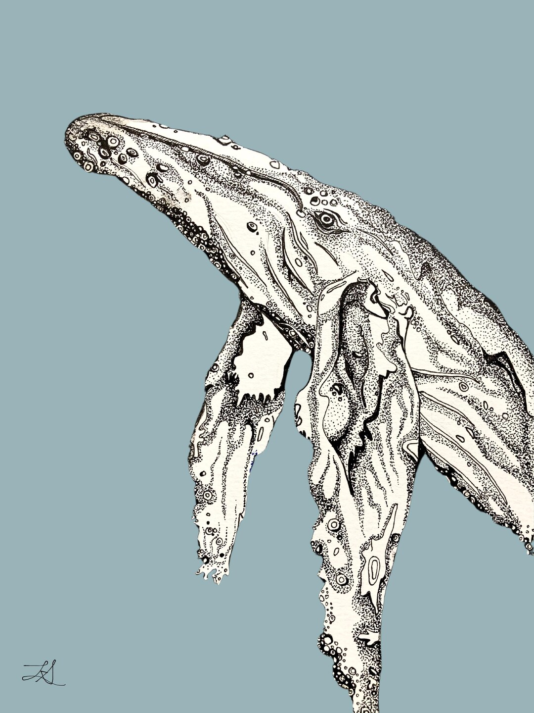 Humpback Whale Art Print – Micron Ink Ocean Illustration | Whale Wall ...