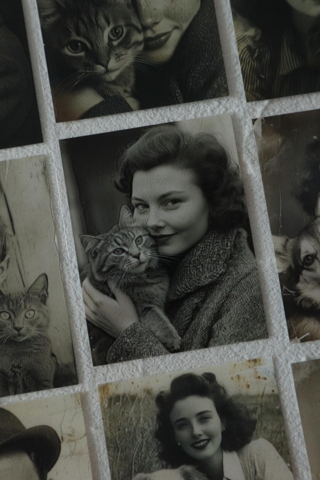 OURTIME) オーナーペットテープ - 3D光沢プリント 200 cm(100 cm x 2カット) - Etsy 日本