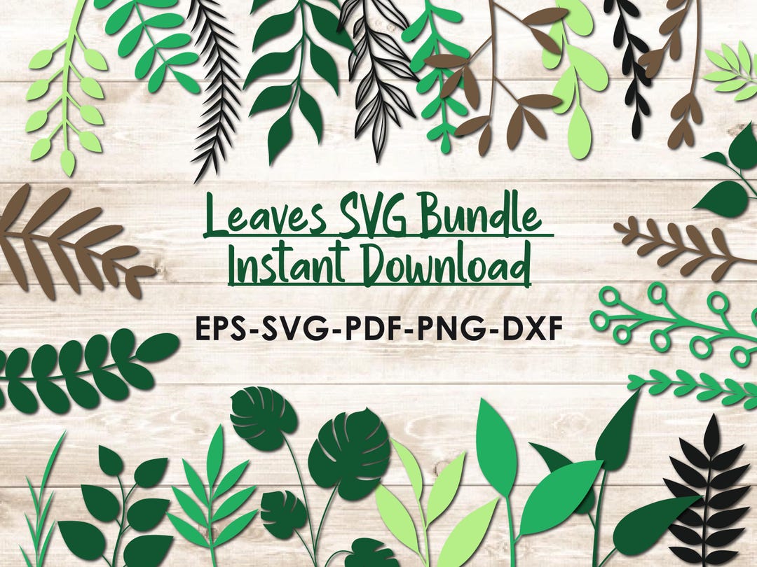 Hand Drawn Leaf SVG Bundle, Greenery Clipart (digital Download) - Etsy