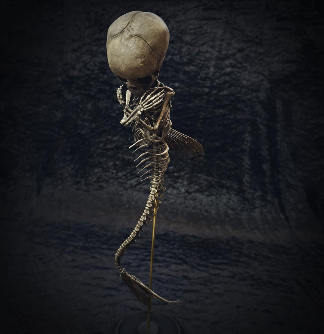 Baby Mermaid Skeleton Sculpture - Etsy
