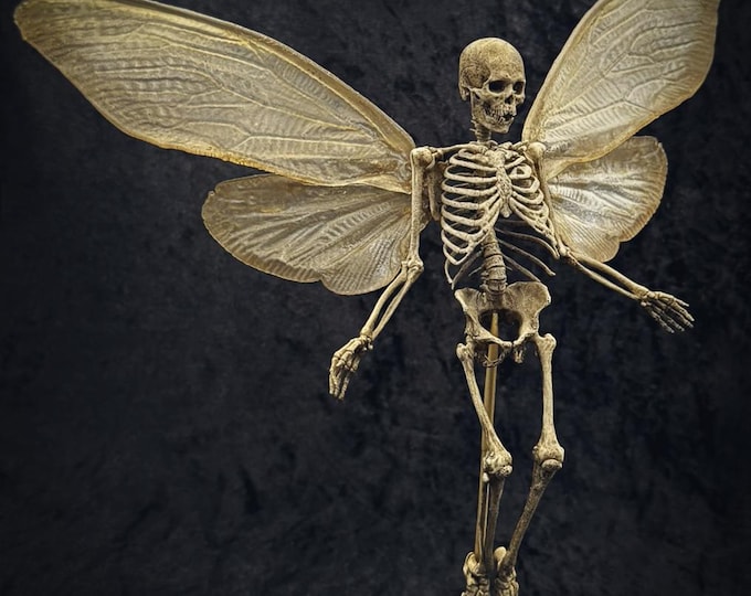 Fairy Skeleton - Etsy