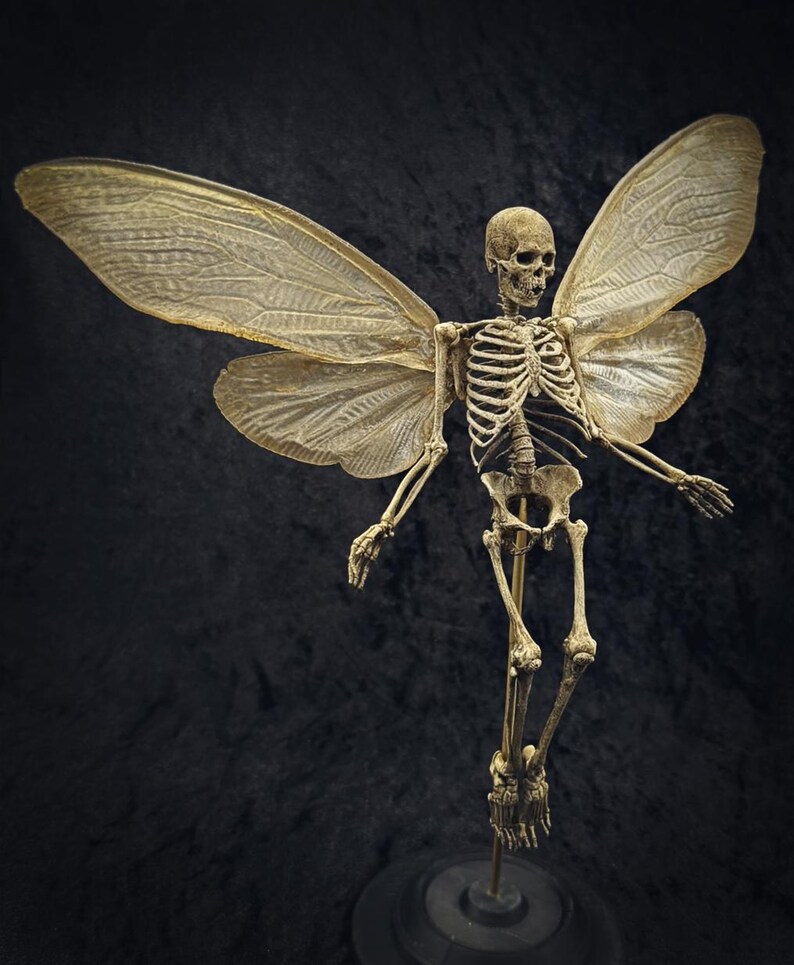 Fairy Skeleton - Etsy