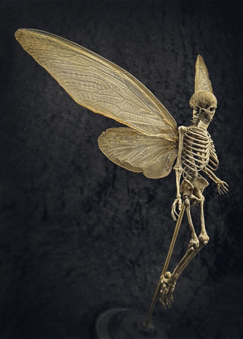 Fairy Skeleton - Etsy