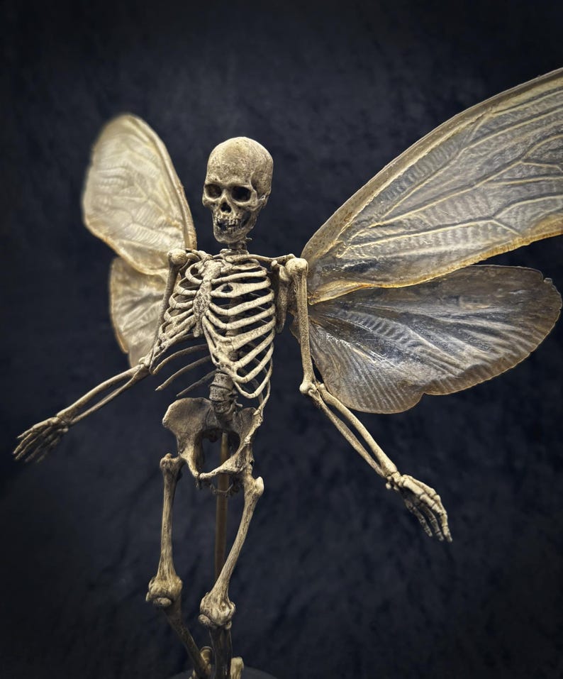Fairy Skeleton - Etsy