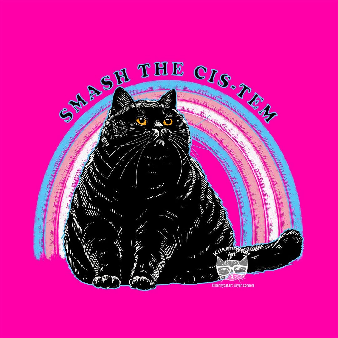 Smash the Cis-tem, Chonky Black Cat, Trans Rights, Trans Ally Unisex T ...
