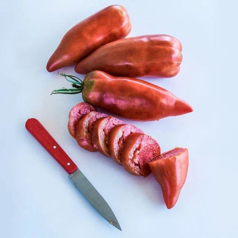 6x Jersey Devil Tomato Plant Starts/seedlings, Organic, Non GMO, Fully ...