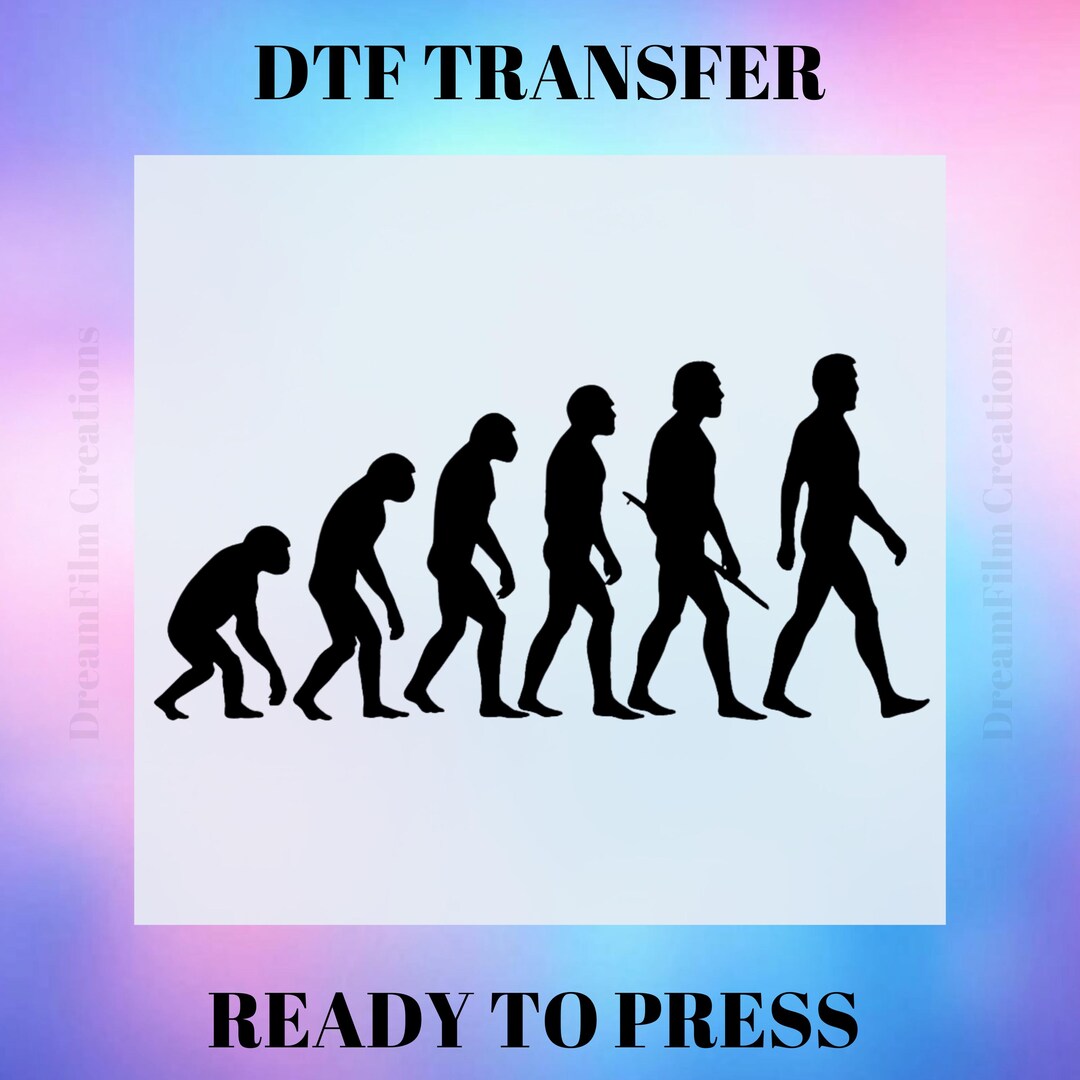 Evolution DTF Transfer, Evolution of Human, Theory of Evolution, Darwin ...