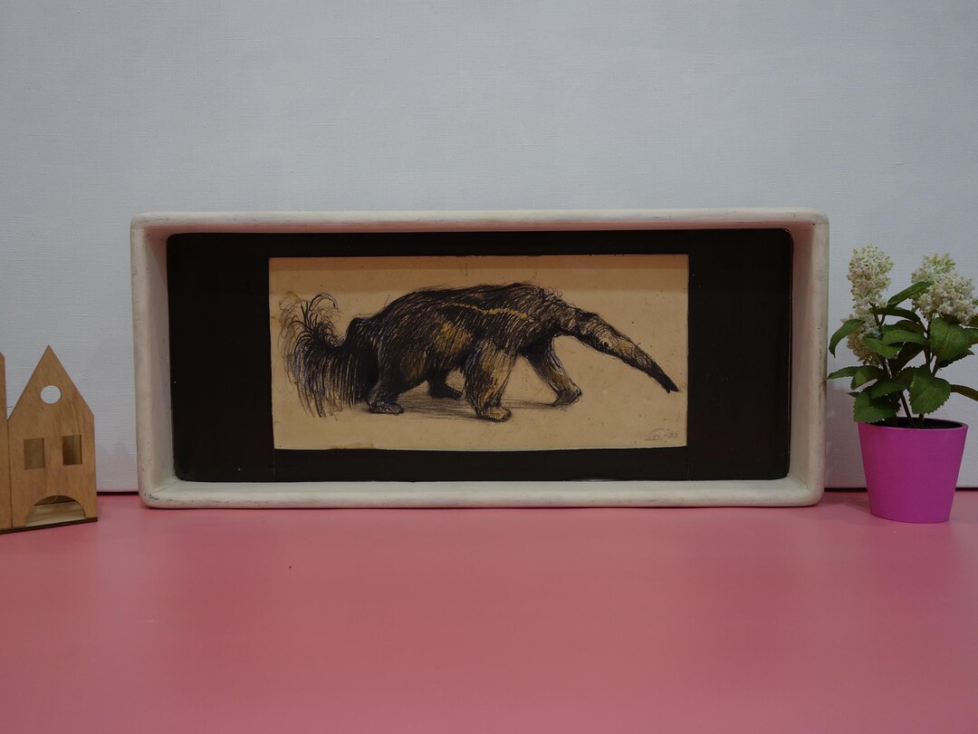 Vintage Giant Anteater Charcoal Pencil Drawing Paper, Ukrainian Artist ...