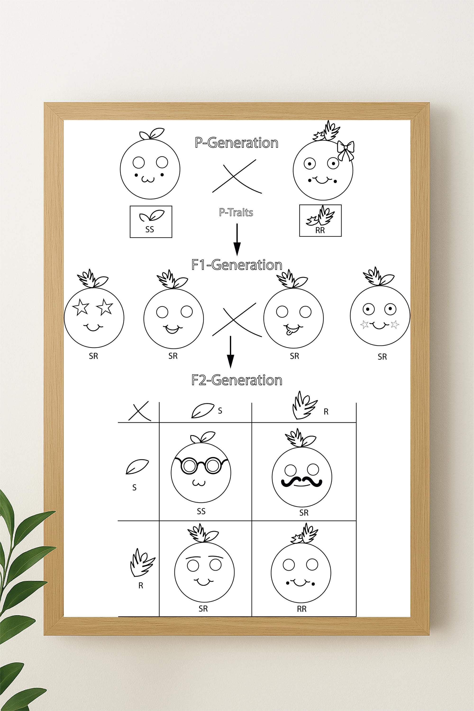 Mendelian Genetics Coloring Page – Inheritance of Traits, Punnett ...