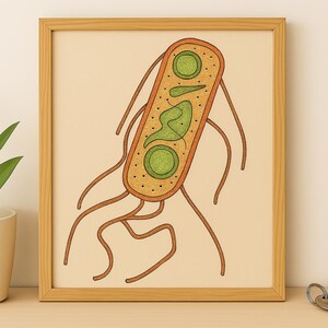 E. Coli Coloring Page – Printable Bacteria Worksheet – STEM Science ...