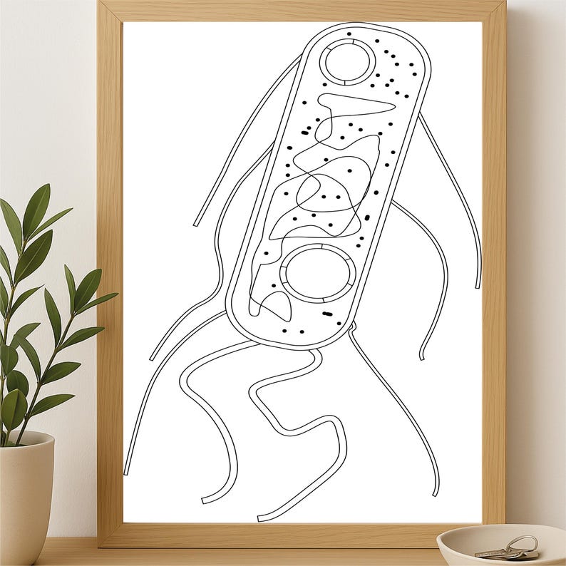 E. Coli Coloring Page – Printable Bacteria Worksheet – STEM Science ...