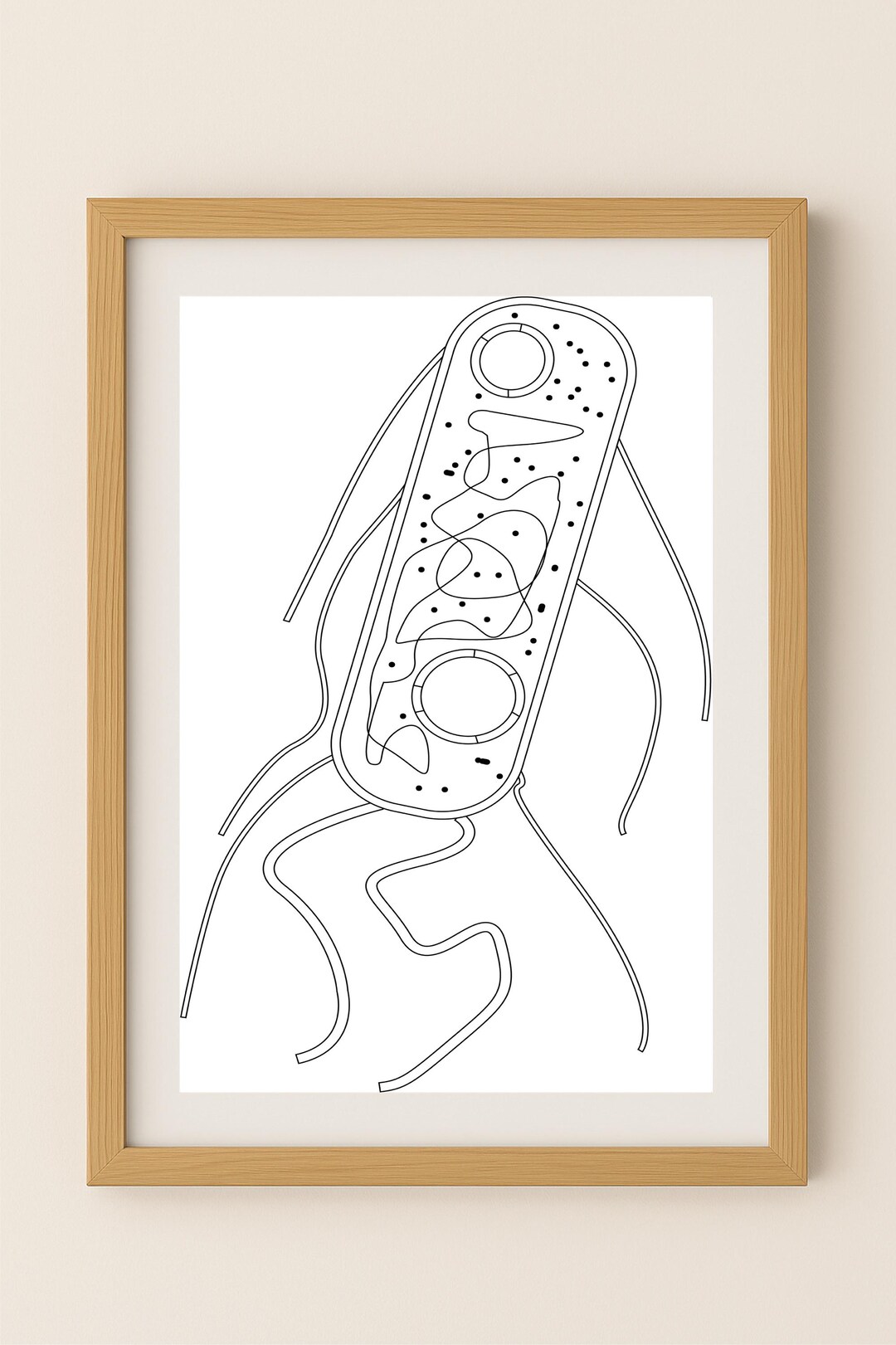 E. coli Coloring Page – Printable Bacteria Worksheet – STEM Science ...