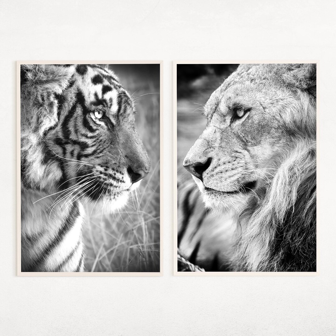Lion and Tiger Animal Prints Set of 2, Digital Black and White Safari ...