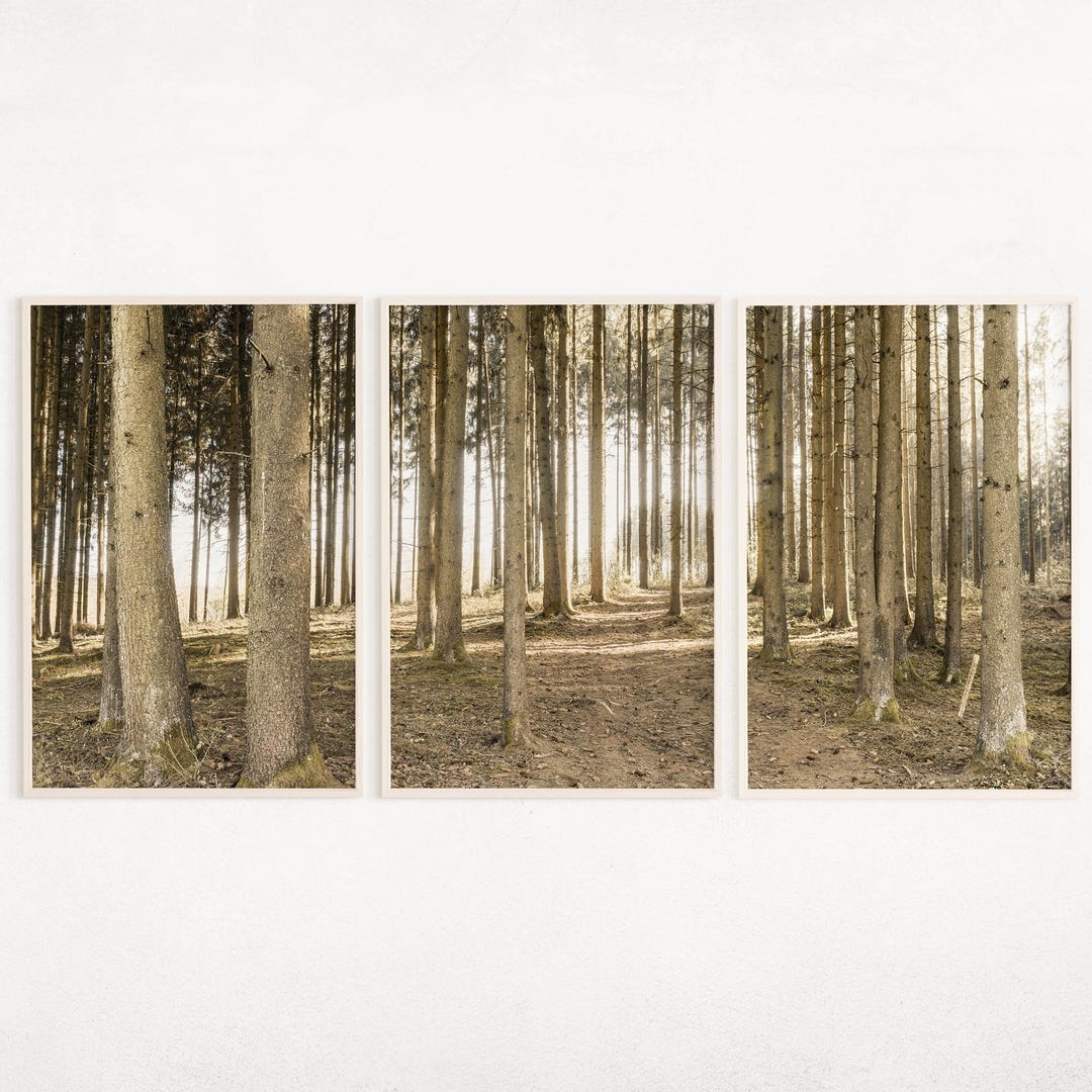 Summer Pine Forest Prints Set of 3, Green Forest Landscape Print, Large ...