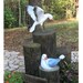 Life-size Seagull Replicas. You Get Both the Landing and - Etsy Canada