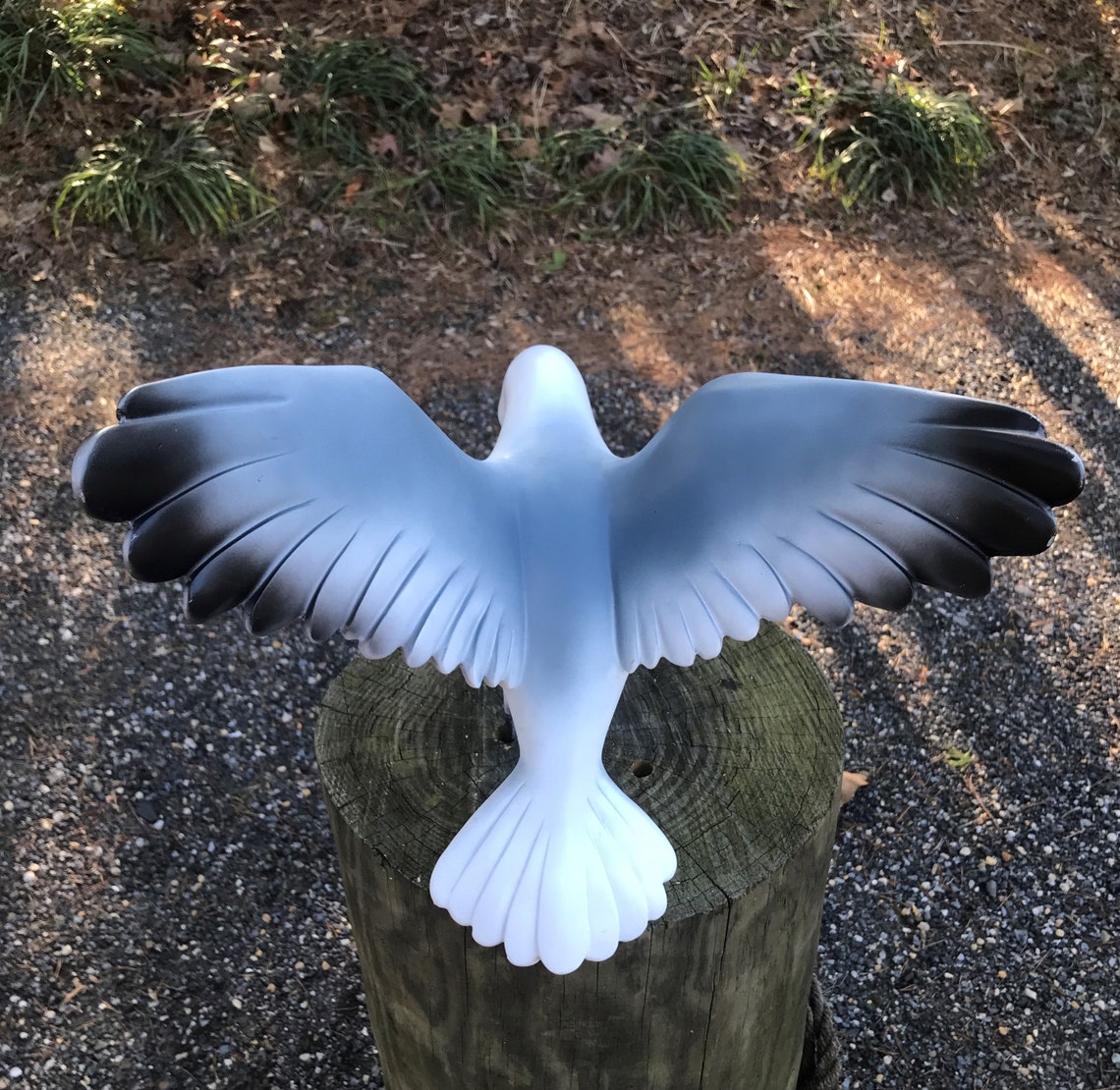 Life-size Seagull Replicas. You Get Both the Landing and - Etsy Canada