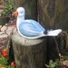 Life-size Seagull Replicas. You Get Both the Landing and - Etsy Canada