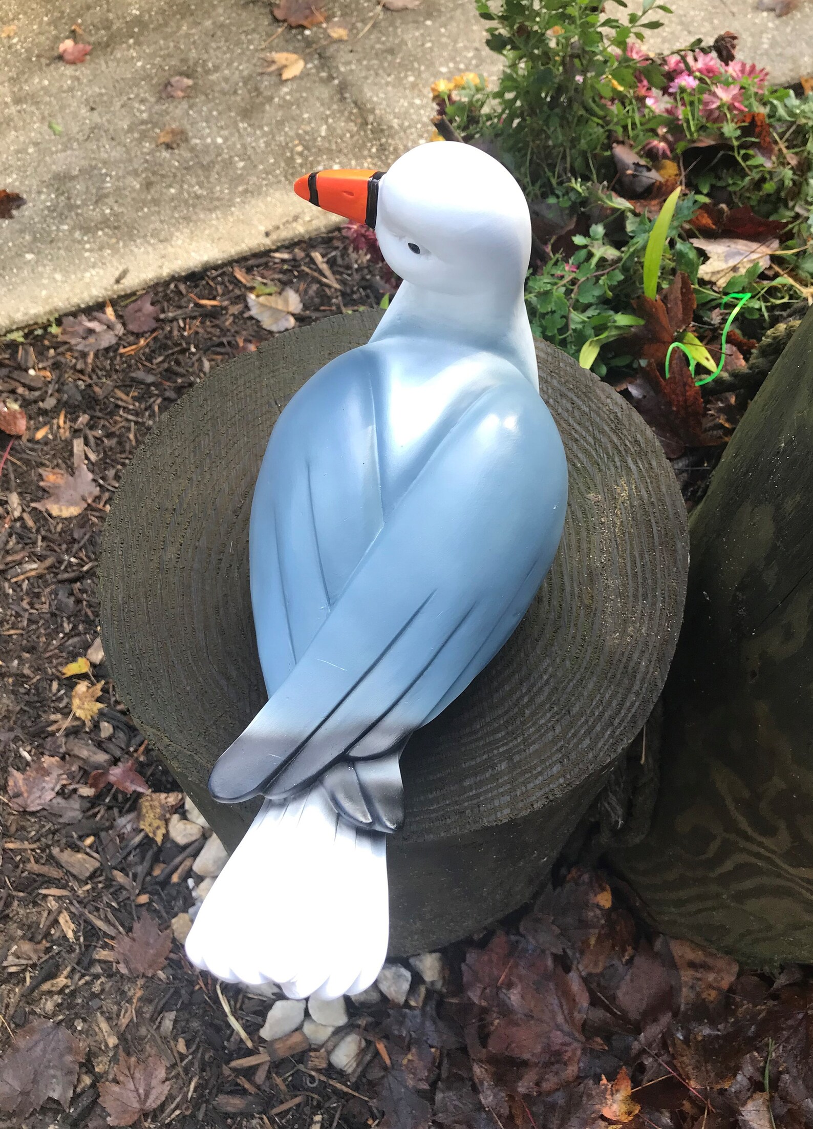 Life-size Seagull Replicas. You Get Both the Landing and - Etsy Canada