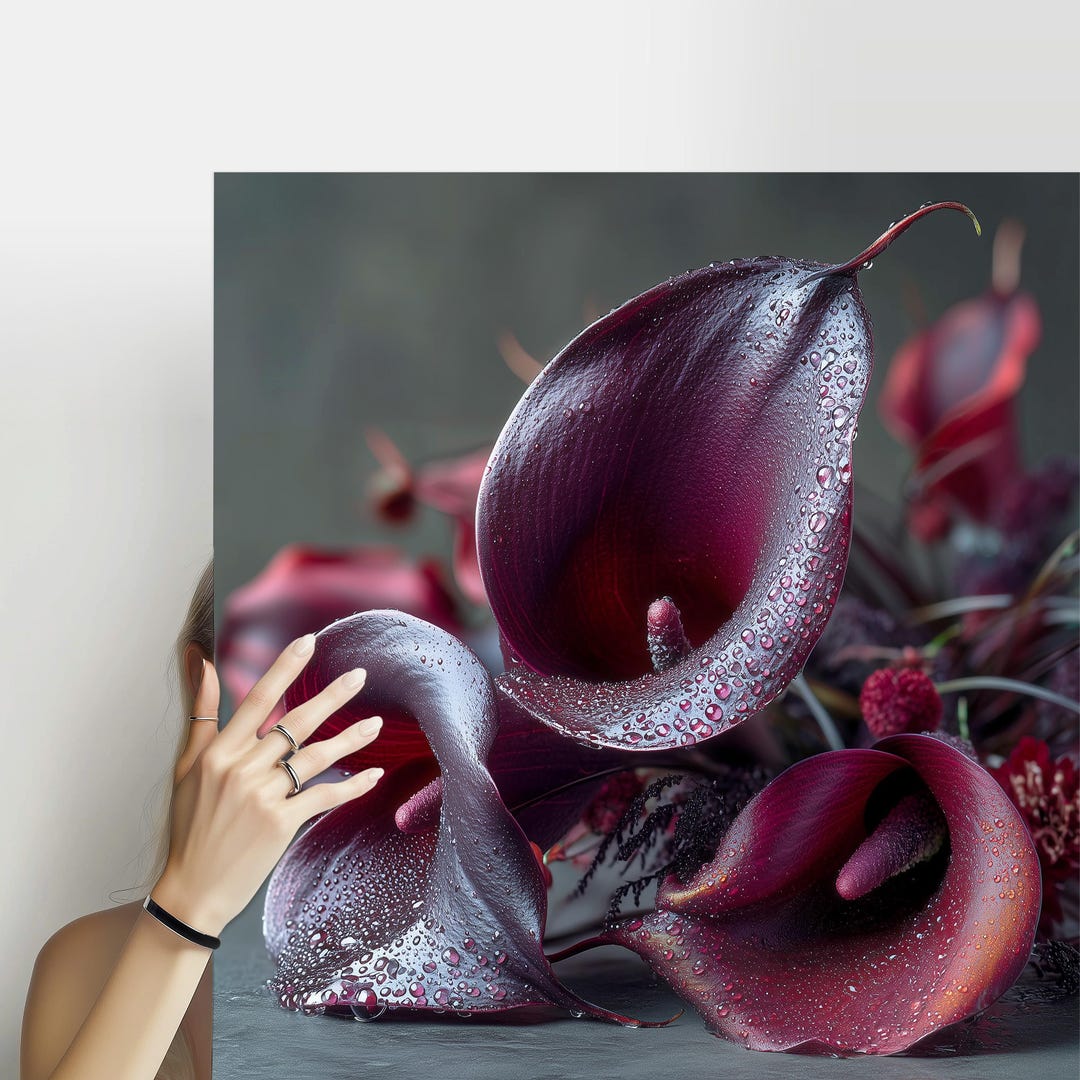 Burgundy Moody Calla Lily Canvas Print: Elegant Merlot Wall Art - Etsy