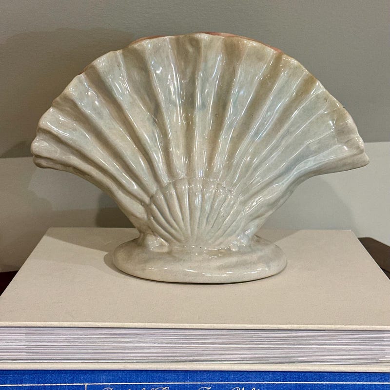 Shell Vase - Etsy