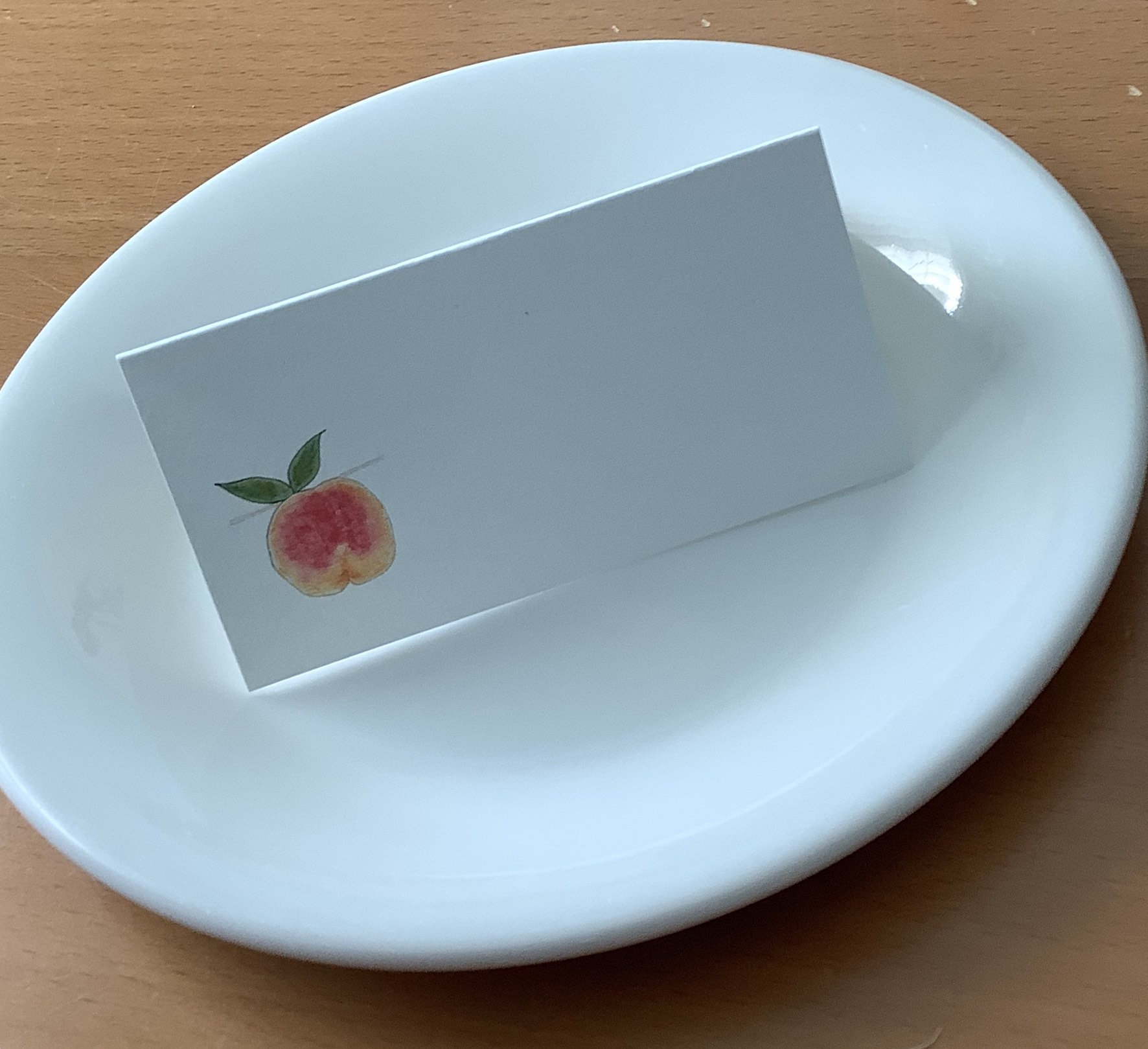 Peach Place Cards, Personalized Seating, Blank Name Cards, Wedding ...