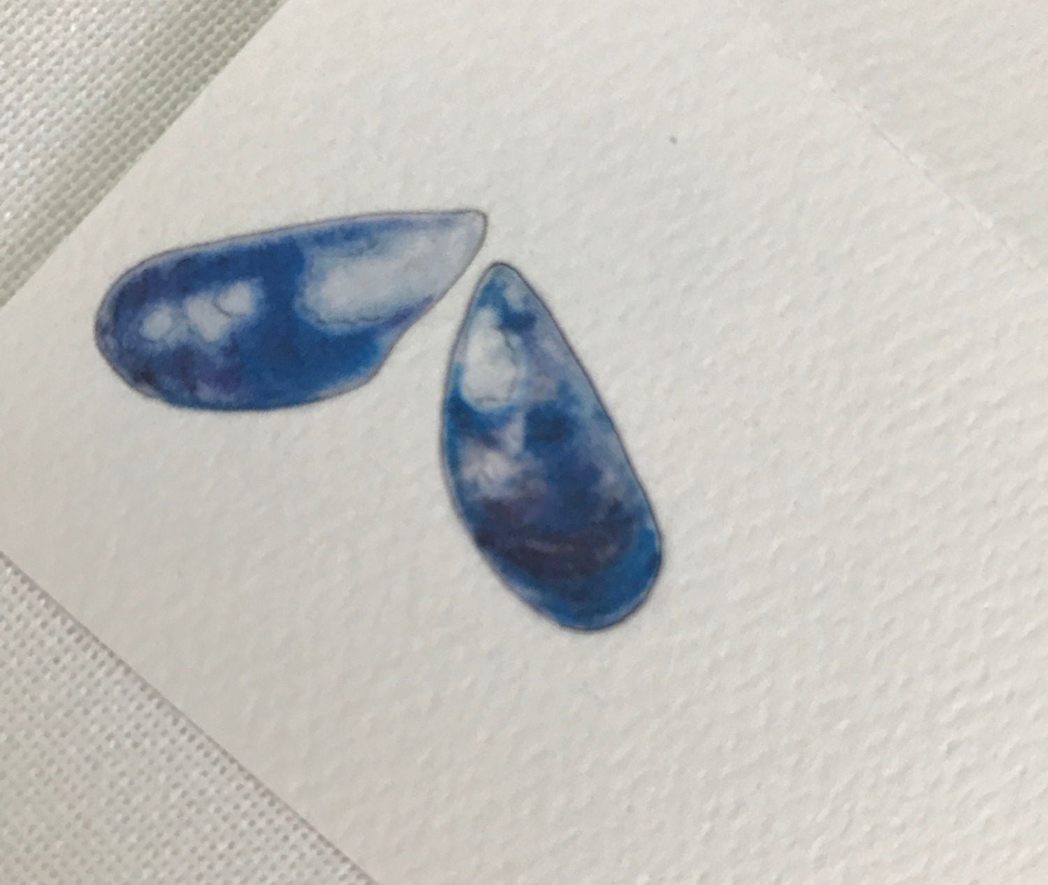 Mussel Shells, Place Cards, Tented Cards, Mussel Art Seating Cards ...