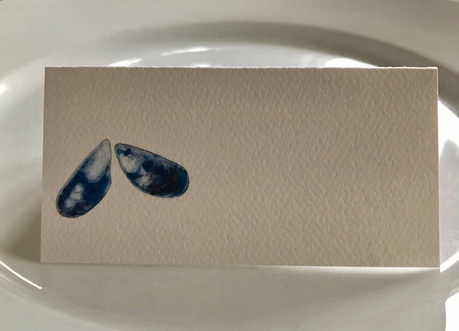 Mussel Shells, Place Cards, Tented Cards, Mussel Art Seating Cards ...