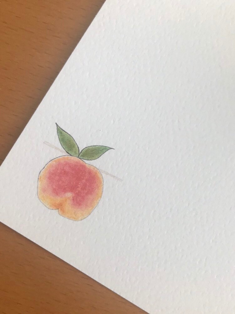 Peach Place Cards Personalized Seating Blank Name Cards - Etsy