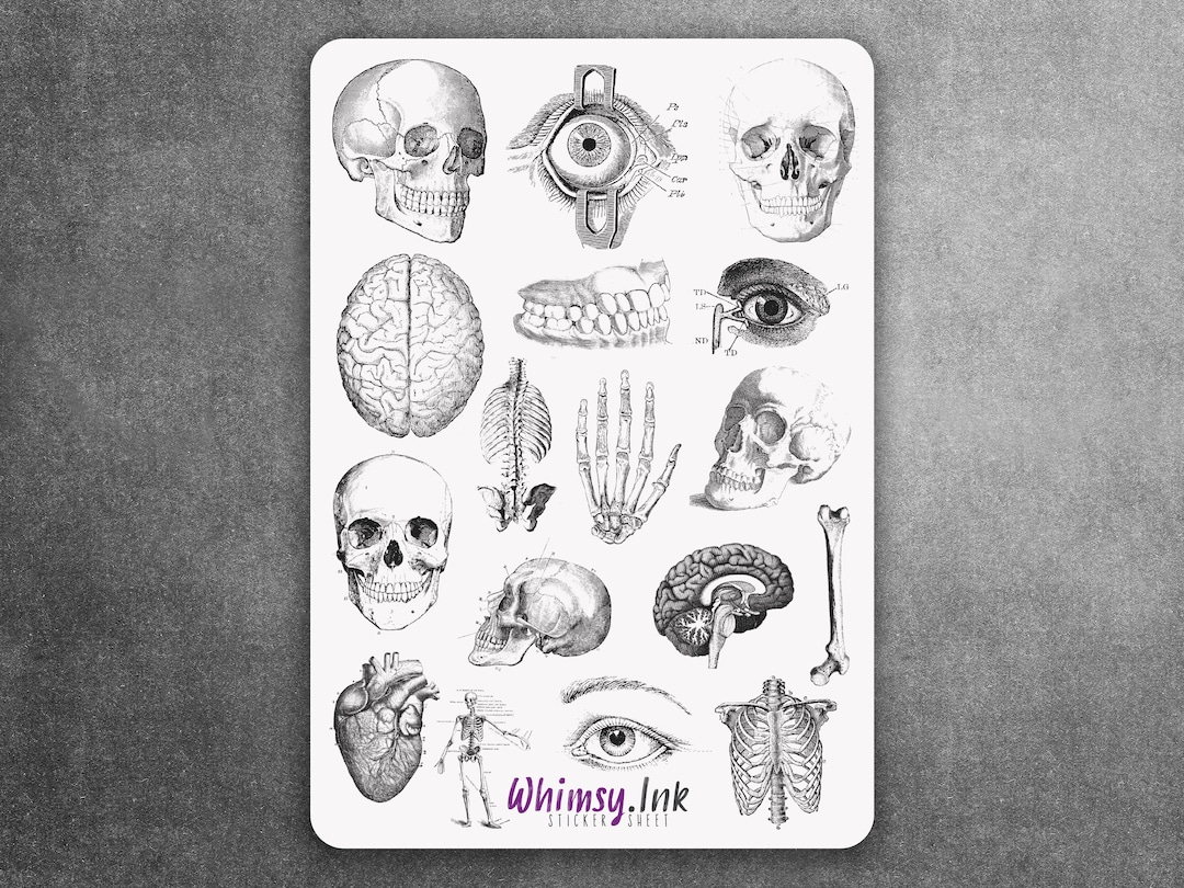 Macabre Overlays Clear Vinyl Sticker Sheet | Great for Planners ...
