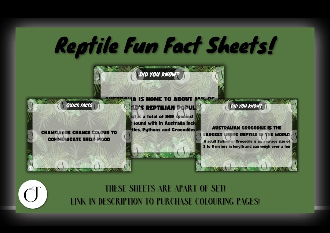 Reptile Facts Posters | Fun Facts | Printable | Snake | Frog | Lizard ...