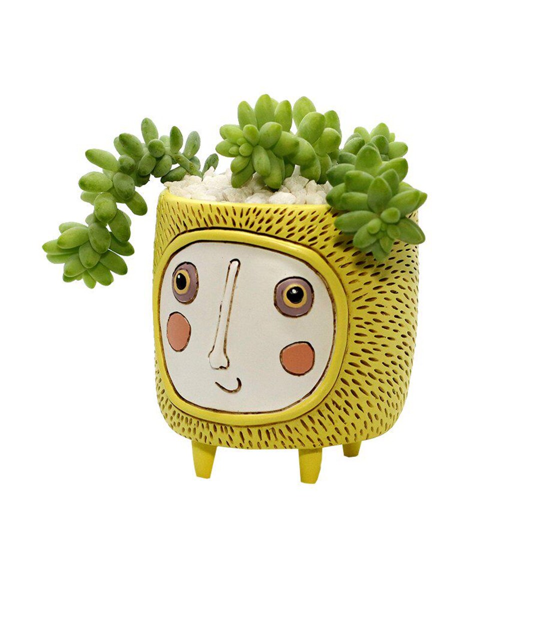Pot Head Planters - Etsy