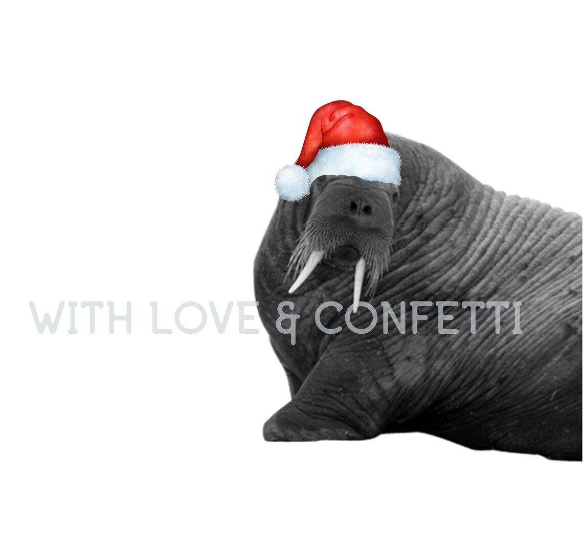 ANIMALS With SANTA Hats Set 6 Printable Holiday Tags Instant - Etsy