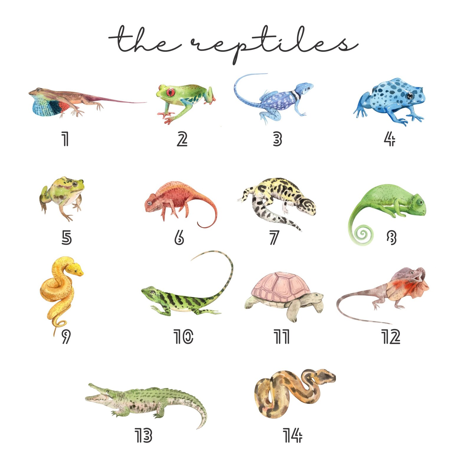 Reptile Party Favor Bags, Personalized Reptile Favor Bags, Snakes ...
