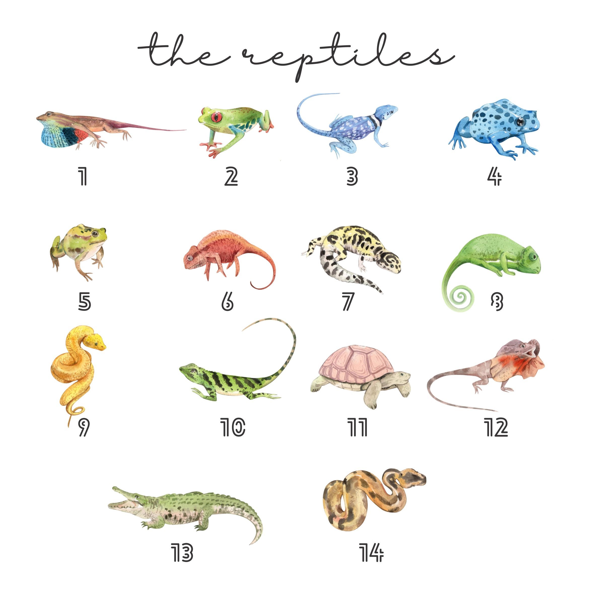 Reptile Party Favor Bags, Personalized Reptile Favor Bags, Snakes ...