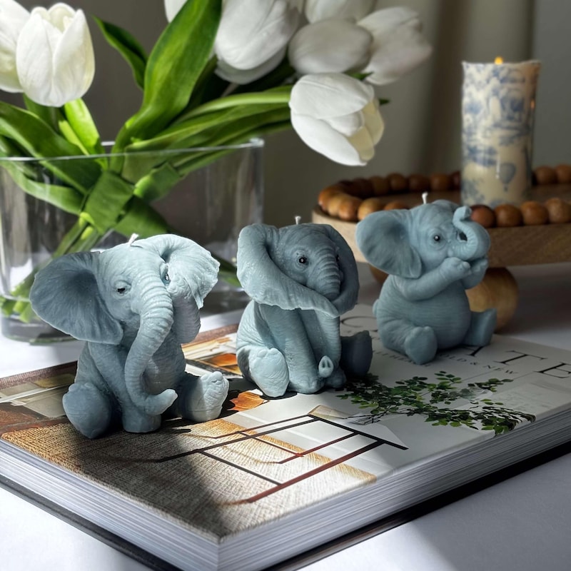 Cocofanto Elefante Ritual - Etsy Canada