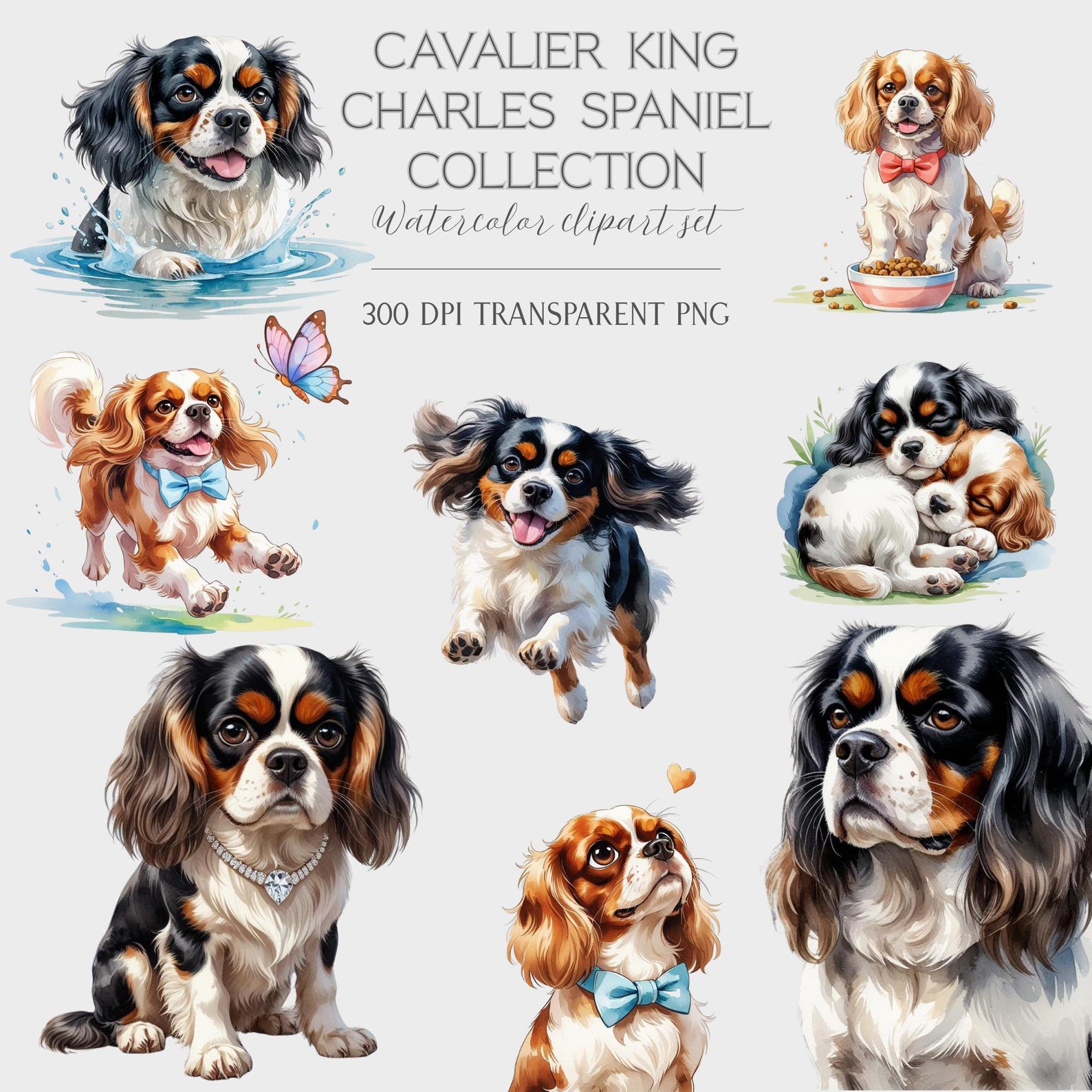 Cavalier King Charles Clipart Bundle PNG | 111 High-res Dog Icons + 30 ...