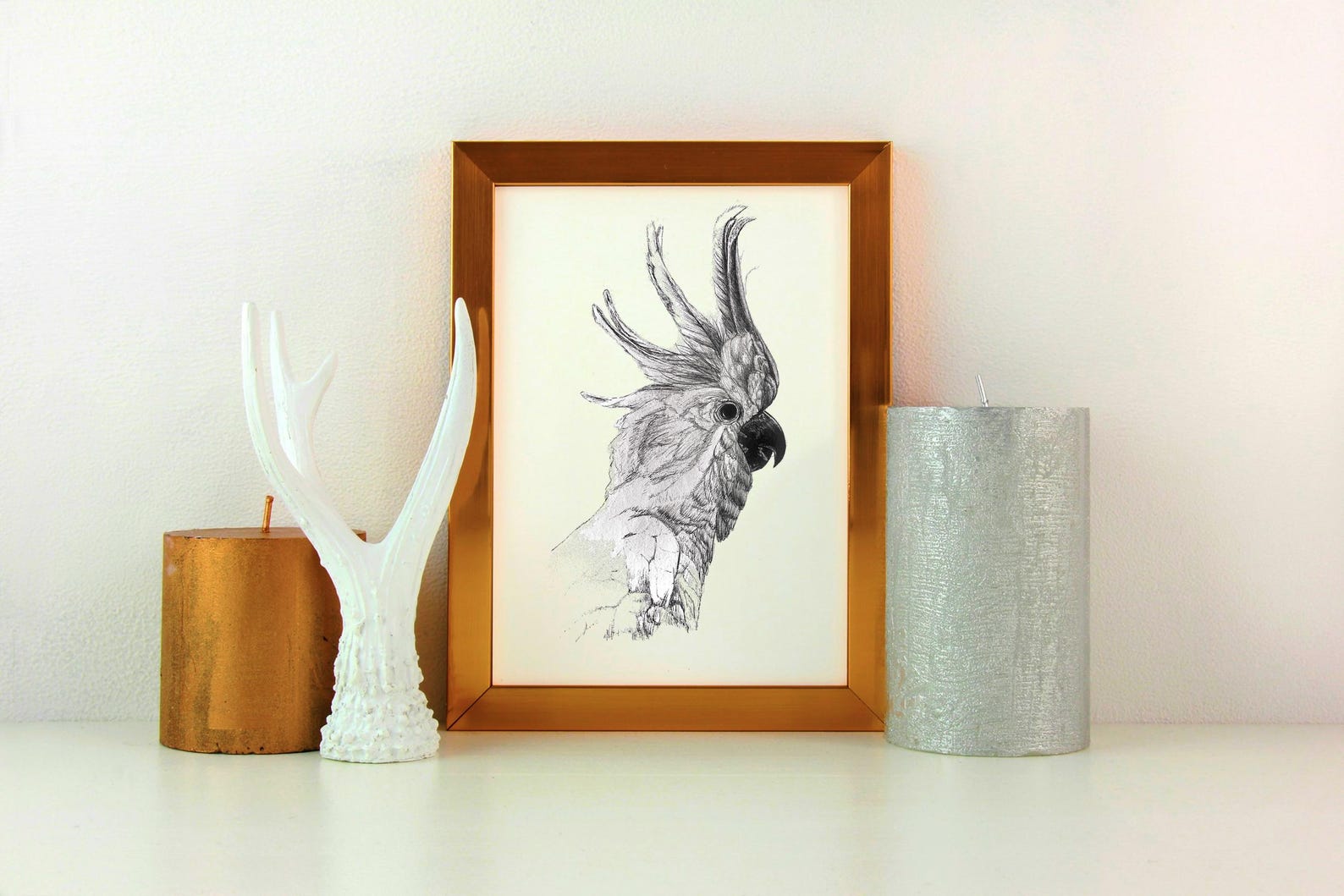 Cockatoo Art Print, Bird Pencil Drawing, Cockatoo Wall Art, Nature ...