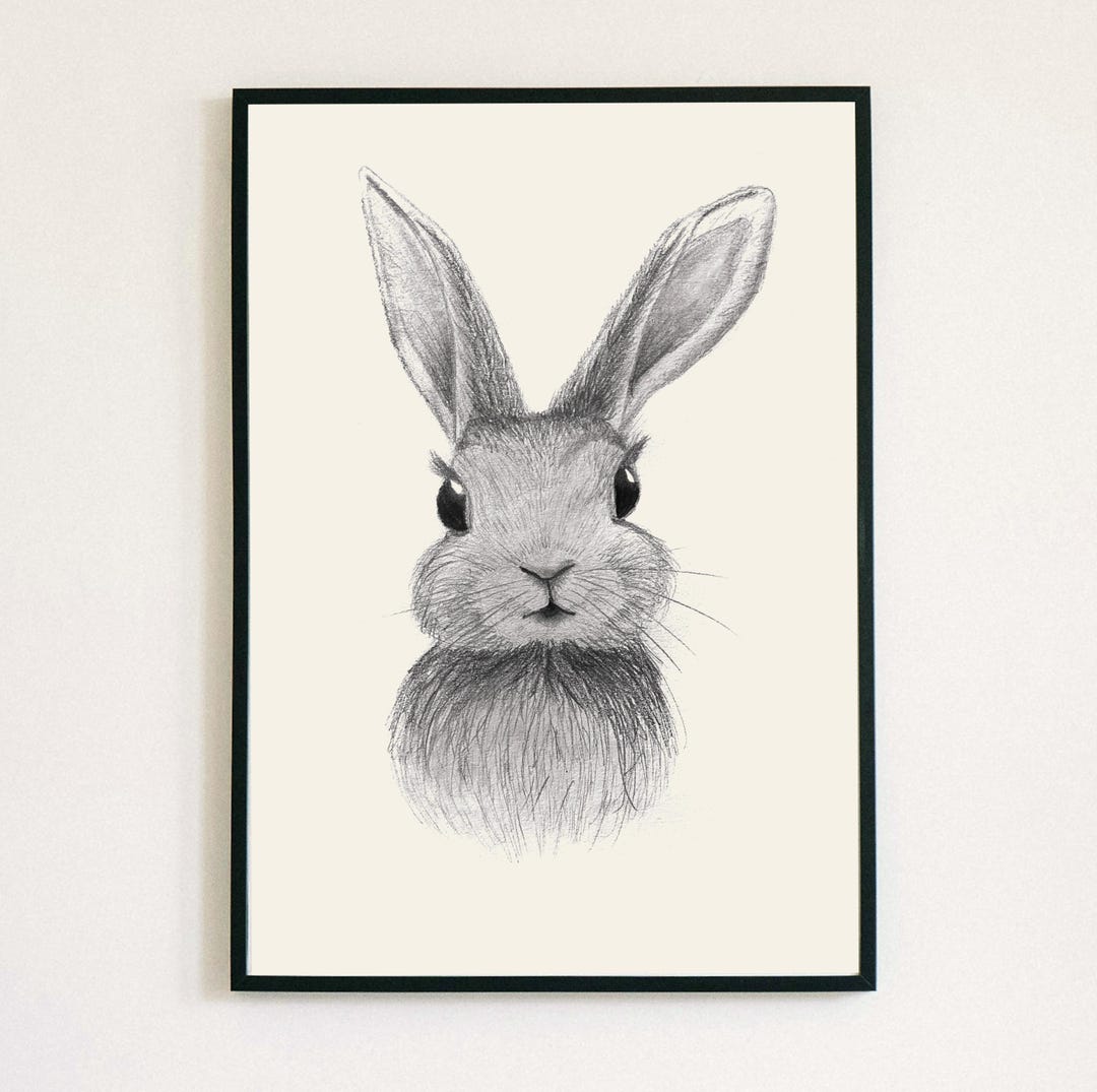 Bunny Rabbit Art Print, Pencil Drawing, Rabbit Wall Art, Animal Lovers ...