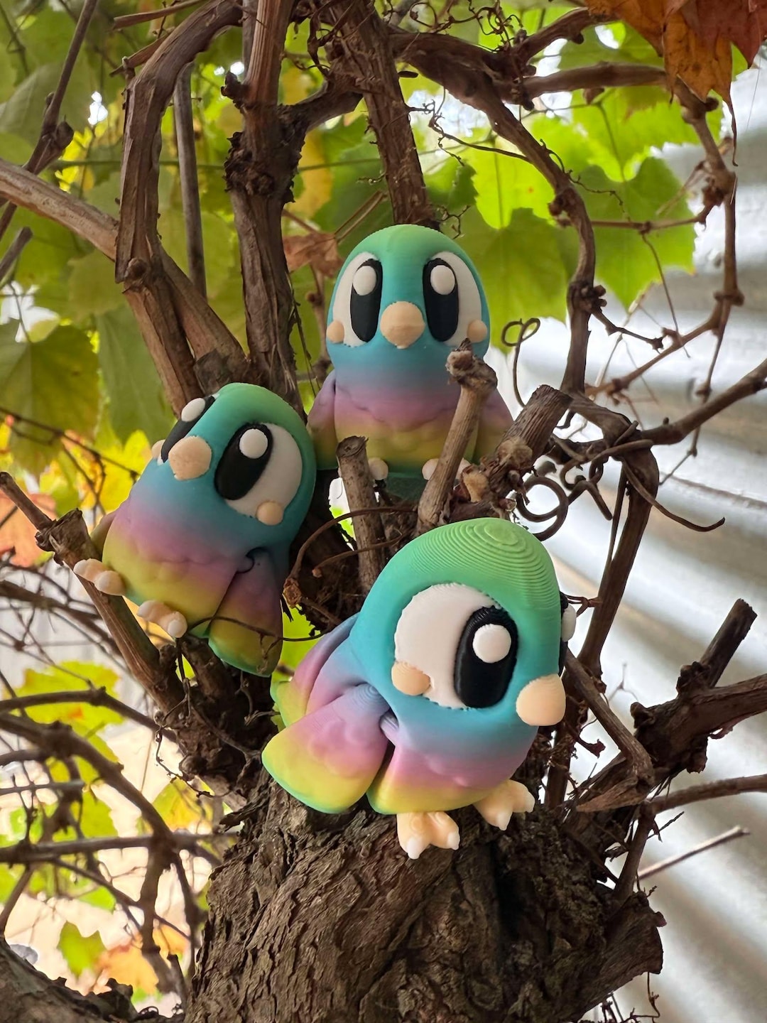 3D Rainbow Bird Parrot – Movable and Full of Personality-fidget ...