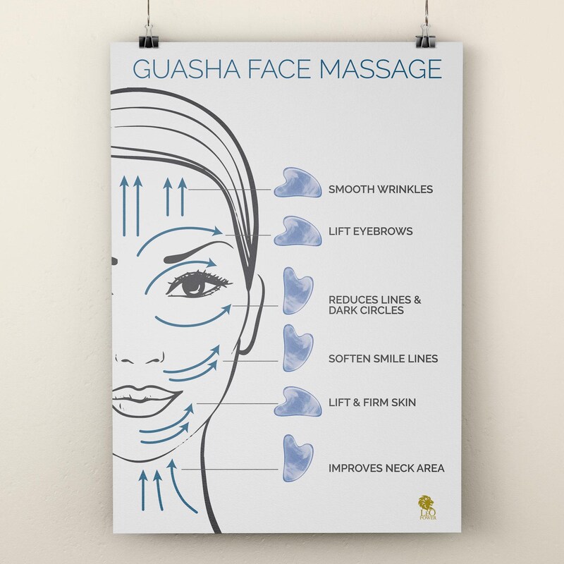 Lymphatic Drainage Map - Etsy