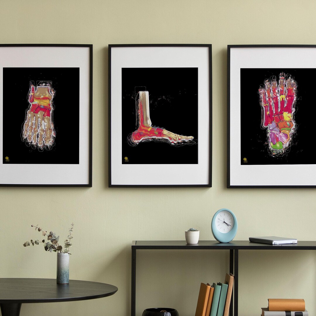 Foot Anatomy Poster Set of 3 Black Background Medical Art Digital ...