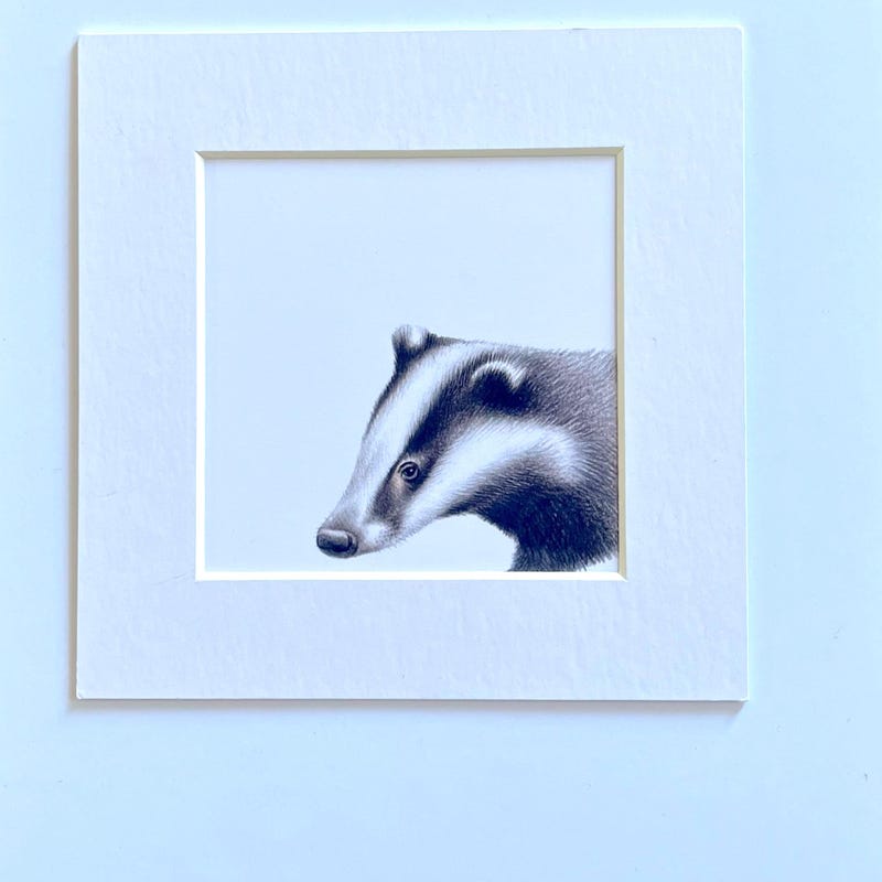Badger Print - Etsy UK