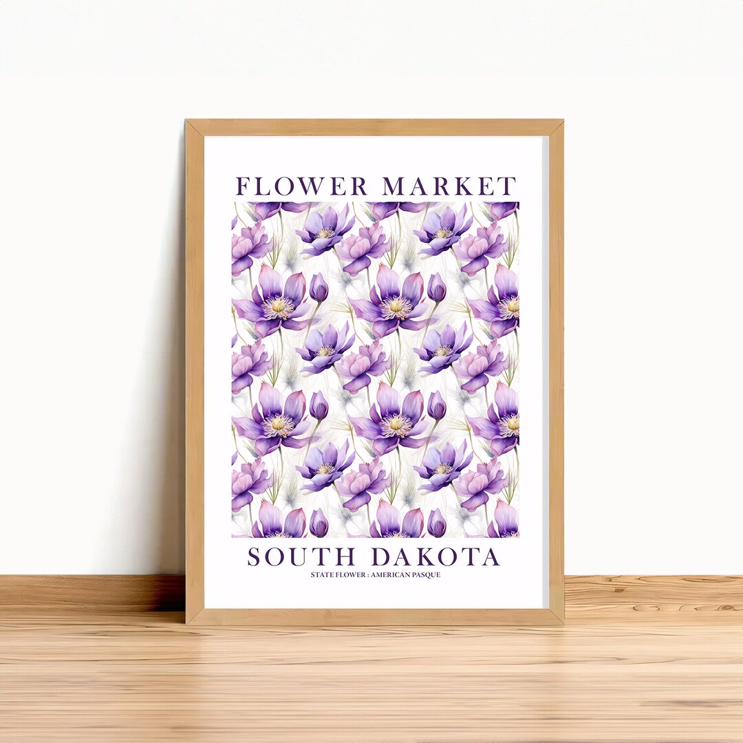 South Dakota State Flower American Pasque Flower Print Purple Floral ...
