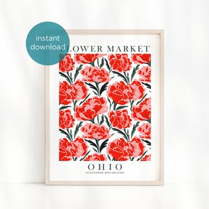 Ohio Carnation Flower Market Red Bedroom Wall Art OH State Floral ...