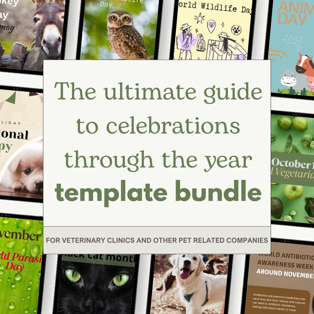 Pet Instagram Post Templates, VETERINARIAN INSTANT DOWNLOADS, Animal ...