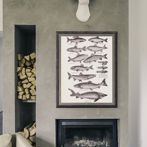 Vintage Fish Wall Art Digital Download Rustic Farmhouse Decor Fishing ...